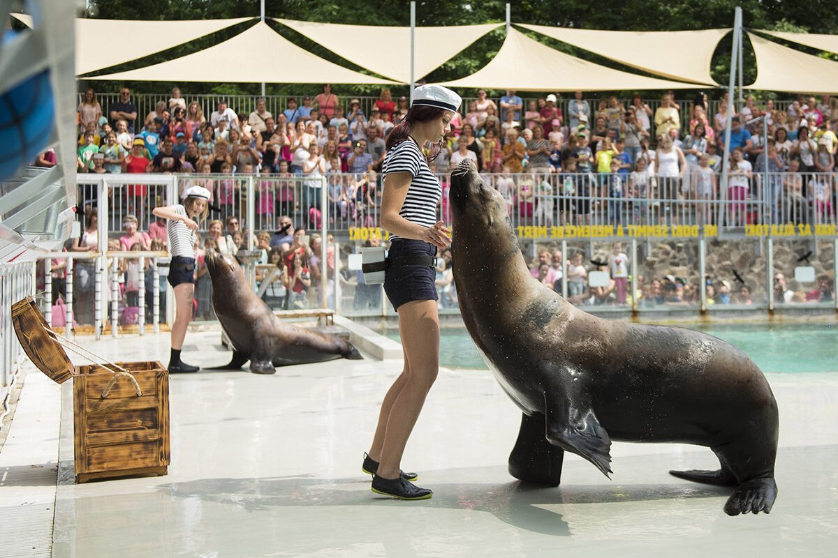 Nyíregyházi Állatpark