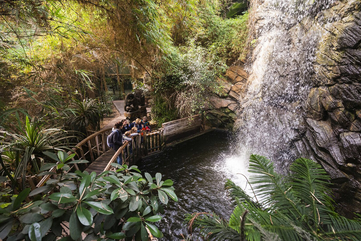 Nyíregyházi Állatpark